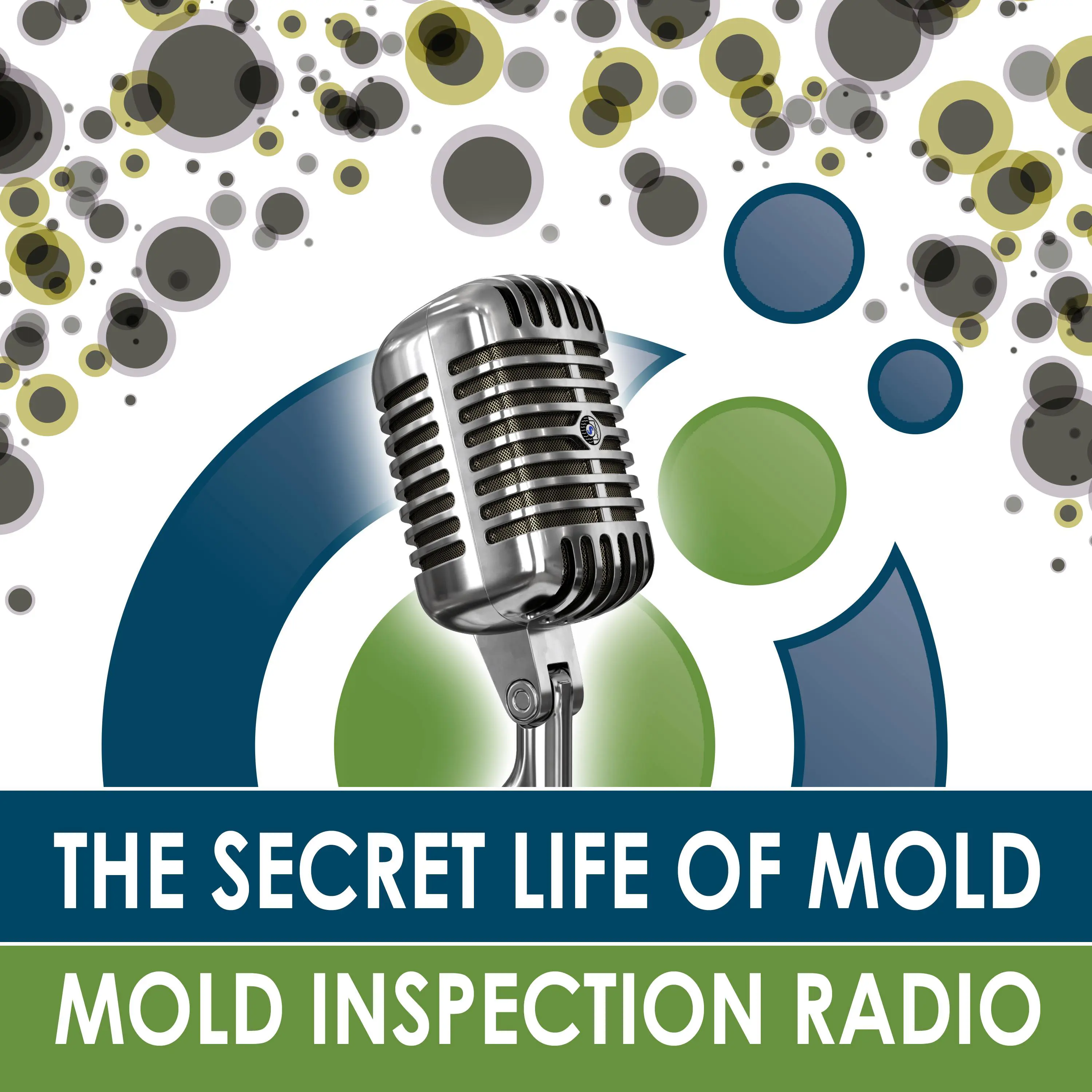 Mold Remediation Basics Part I: Containment