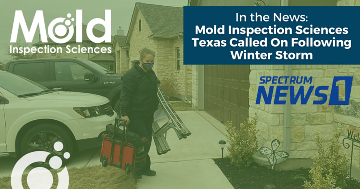 Austin Residents Turn to Mold Inspection Sciences Texas