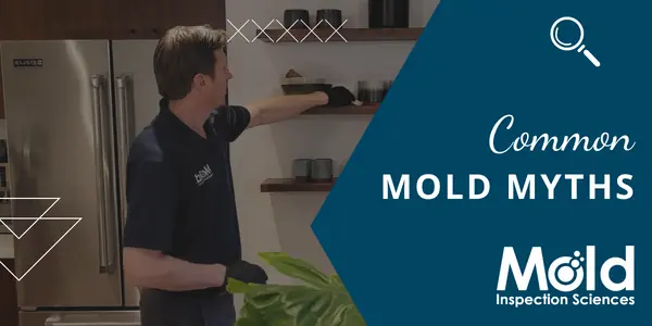 Common Mold Myths - Part 2 | Mold Myths Debunked