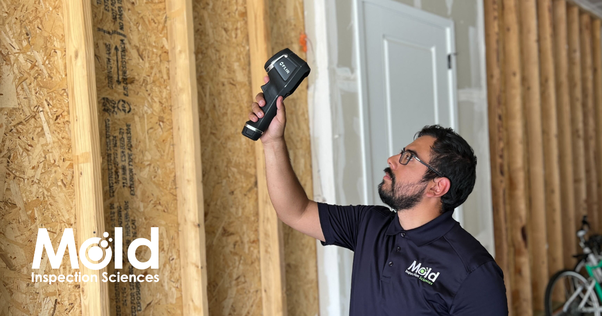 Mold in Homes Frequently Asked Questions