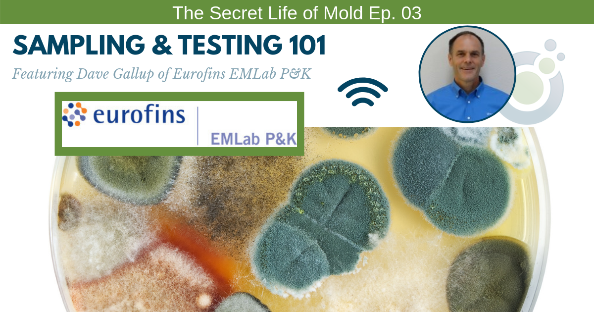 Episode 03: Sampling and Testing 101 with Eurofins EMLab P&K