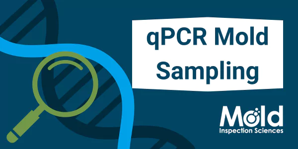 MS-qPCR Sampling: Detailed Mold Analysis for Your Property