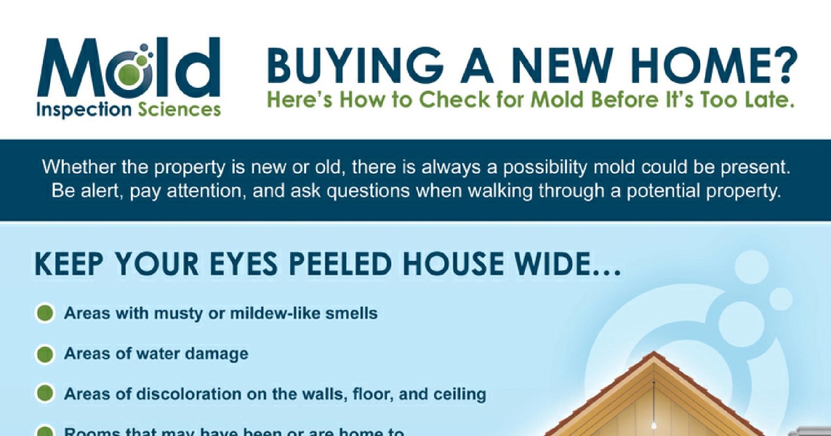 Buying a New Home Infographic