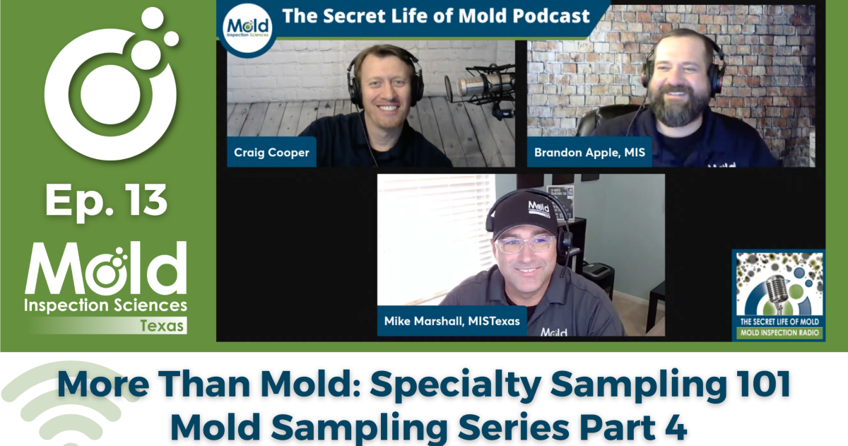 Episode 13: Specialty Sampling 101: Exploring Mold Inspections and More