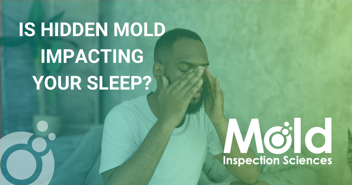 The Impact of Mold on Sleep Quality