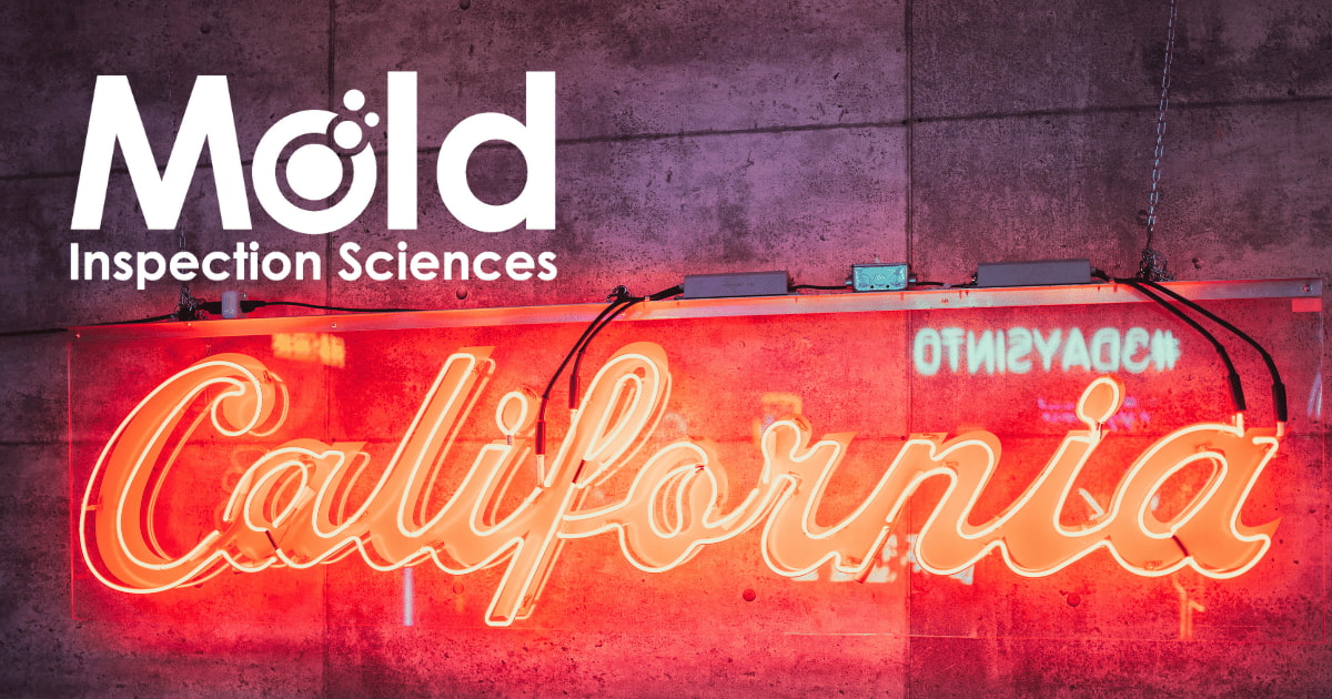 Have Questions about Mold? Contact Mold Inspection Sciences: Call +1 ...
