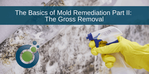 Mold Remediation Basics Part I: Containment