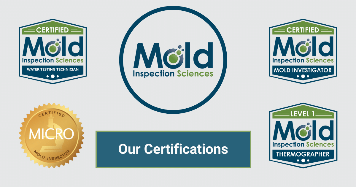 Certified Mold Inspectors | Value of Certification, Education, Experience